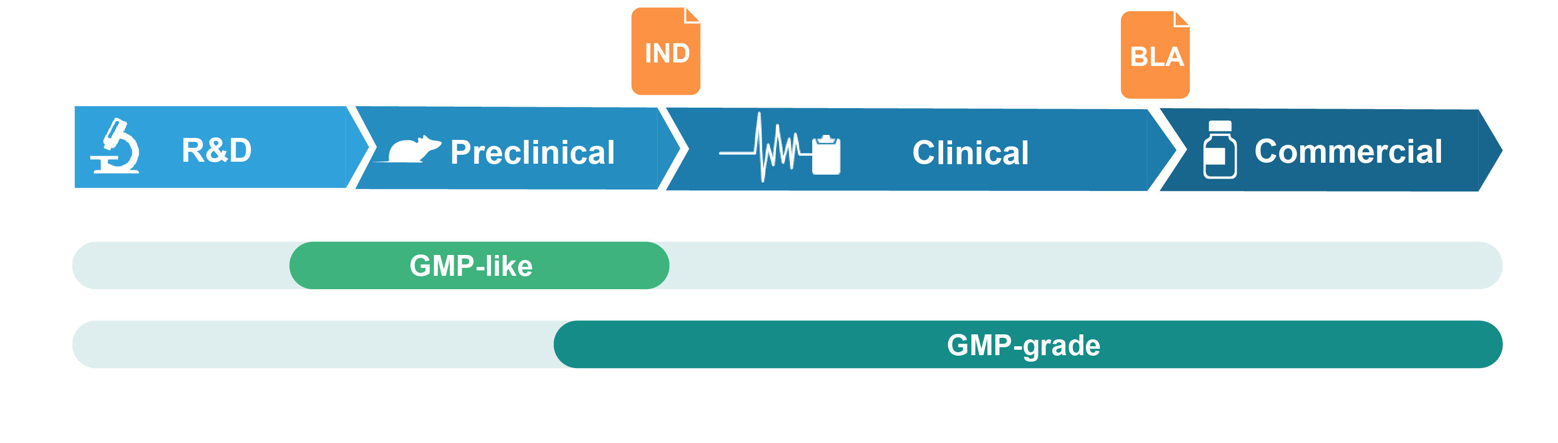 Virus Packaging Plasmid Manufacturing | VectorBuilder